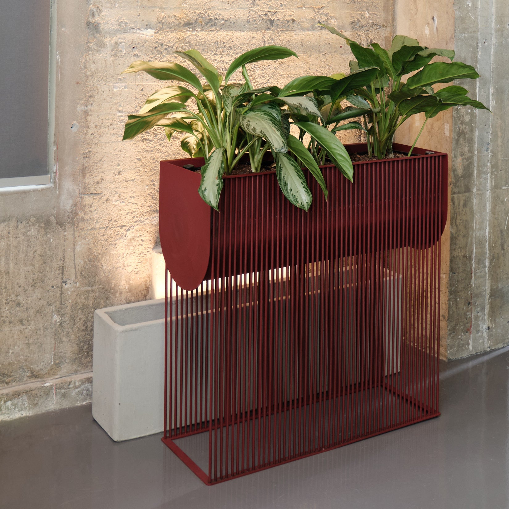 Eclipso | Indoor Planter | Contemporary Plant Pots – Plantr