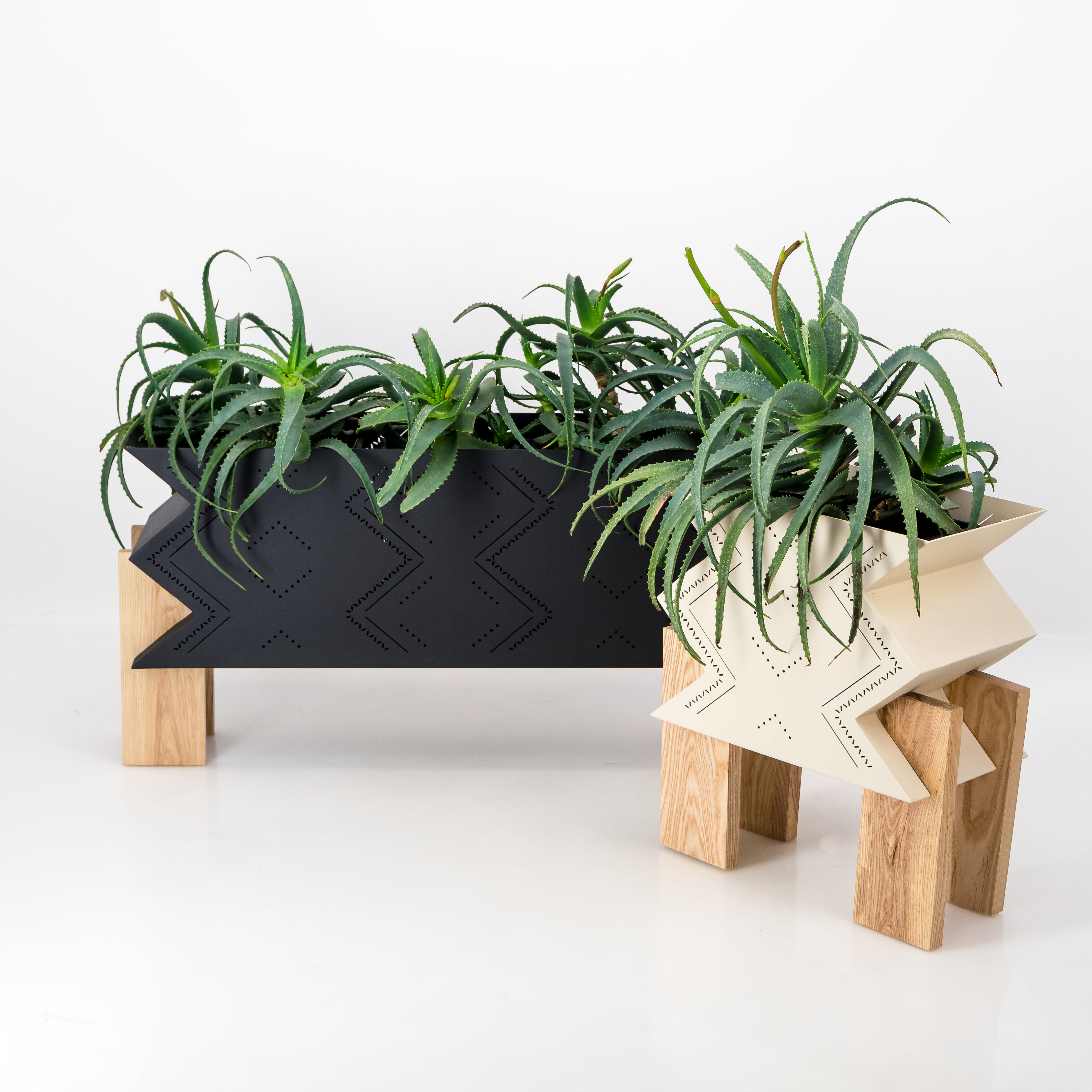 Low Poli Aloe – Plantr