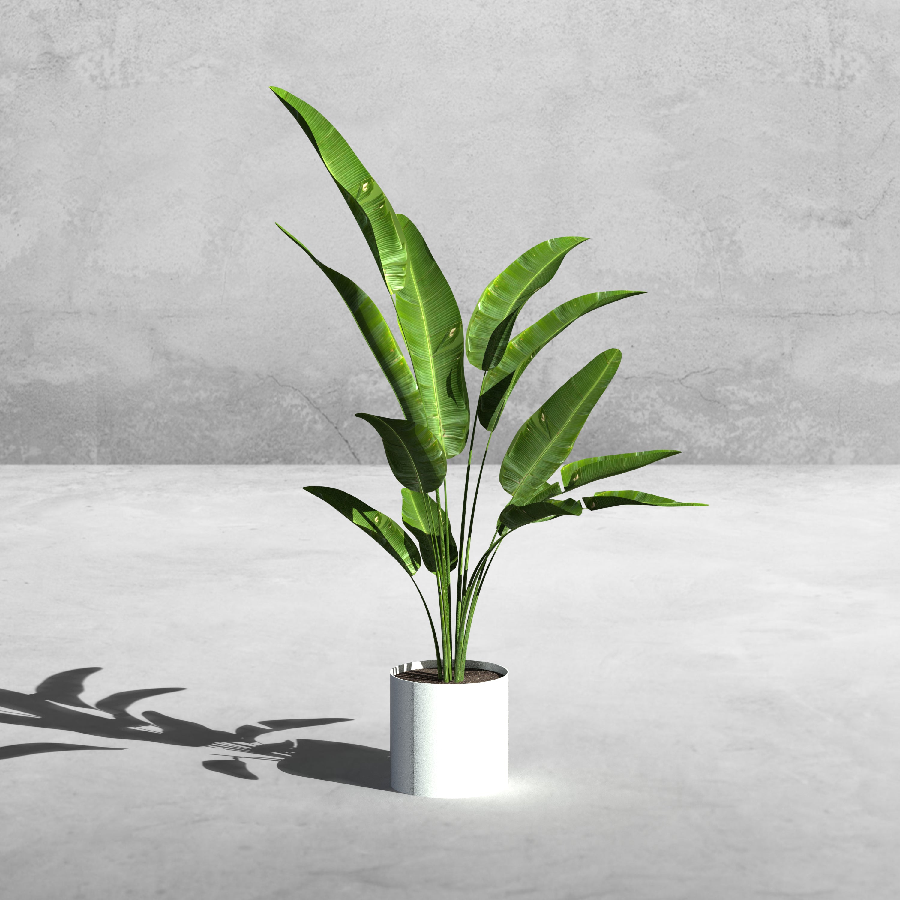 Loft Planter Round – Plantr