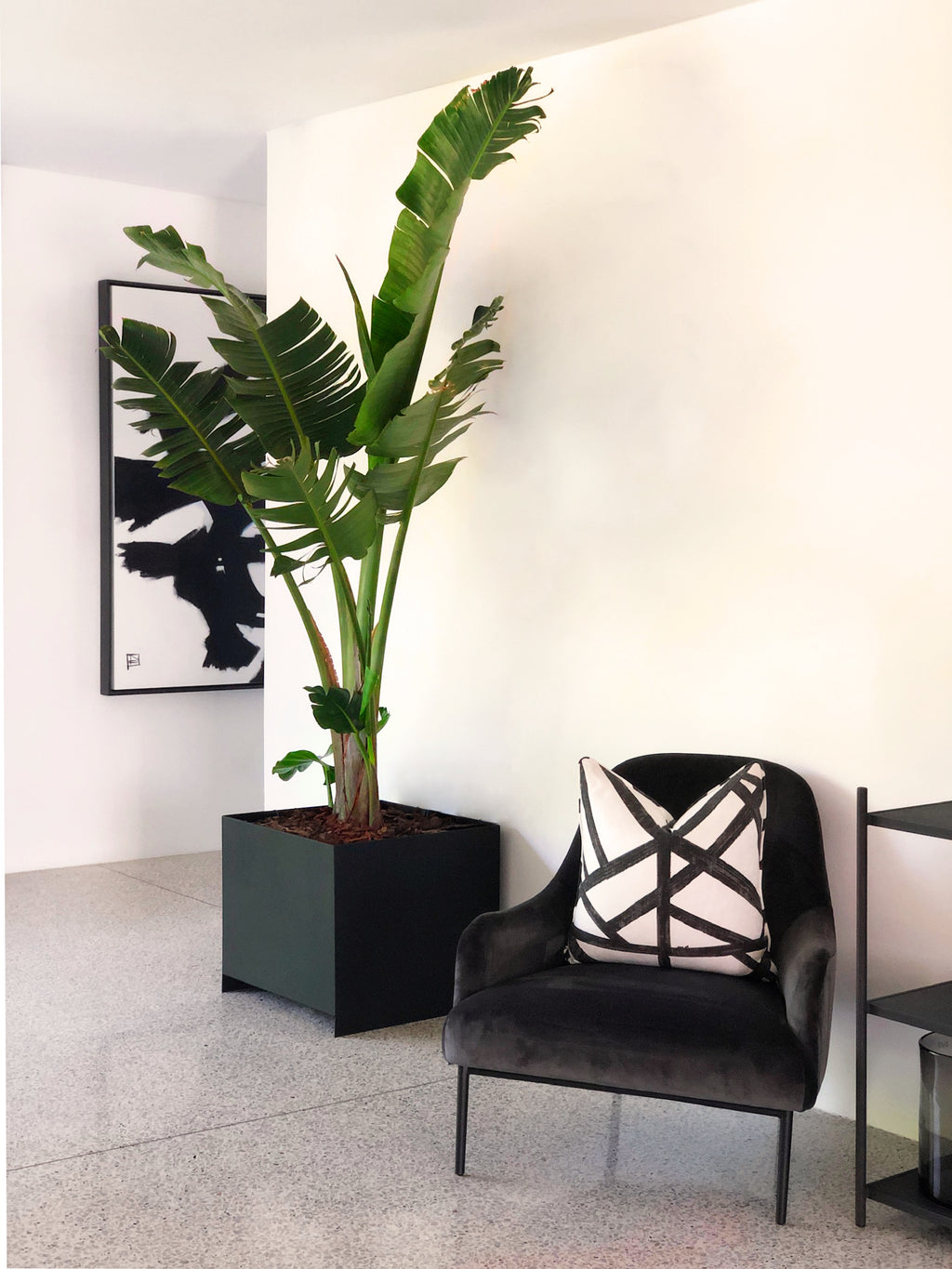 Loft Planter Box | Indoor & Outdoor | Contemporary Plant Pots – Plantr