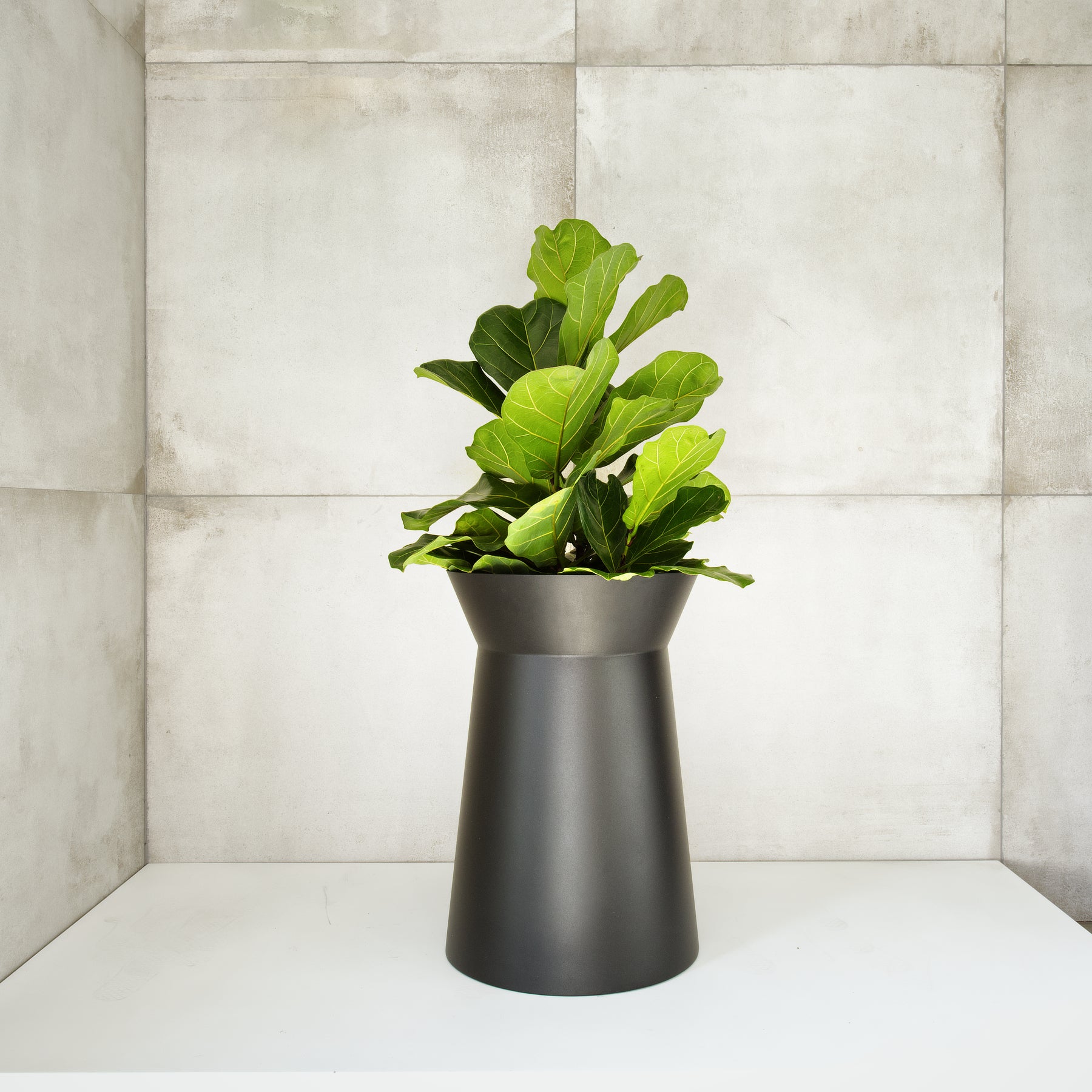 CONVA | Indoor & Outdoor | Contemporary Planters and Pot Plants – Plantr