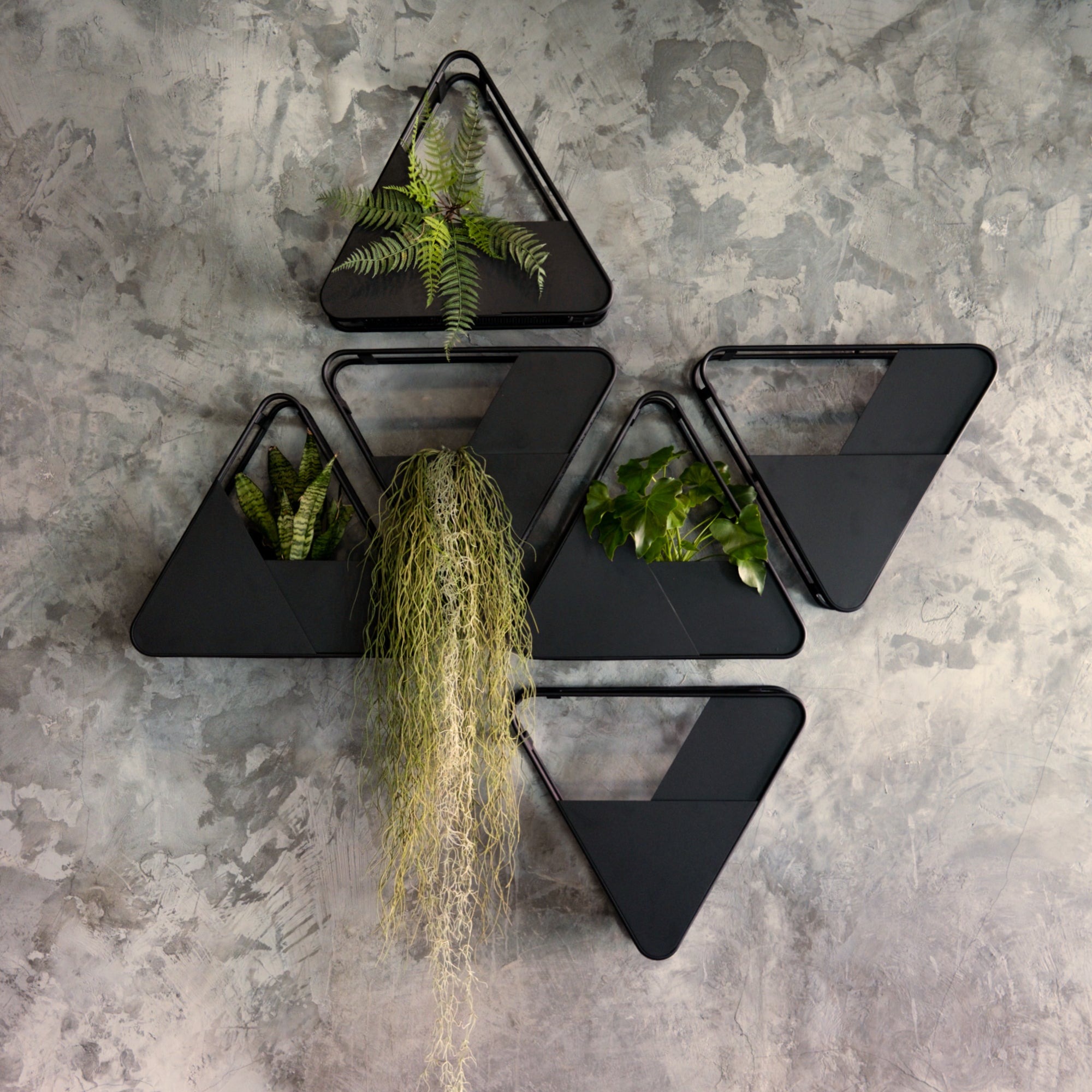 Trioka | Wall Mounted Modular Planter - Contemporary Vertical Garden ...