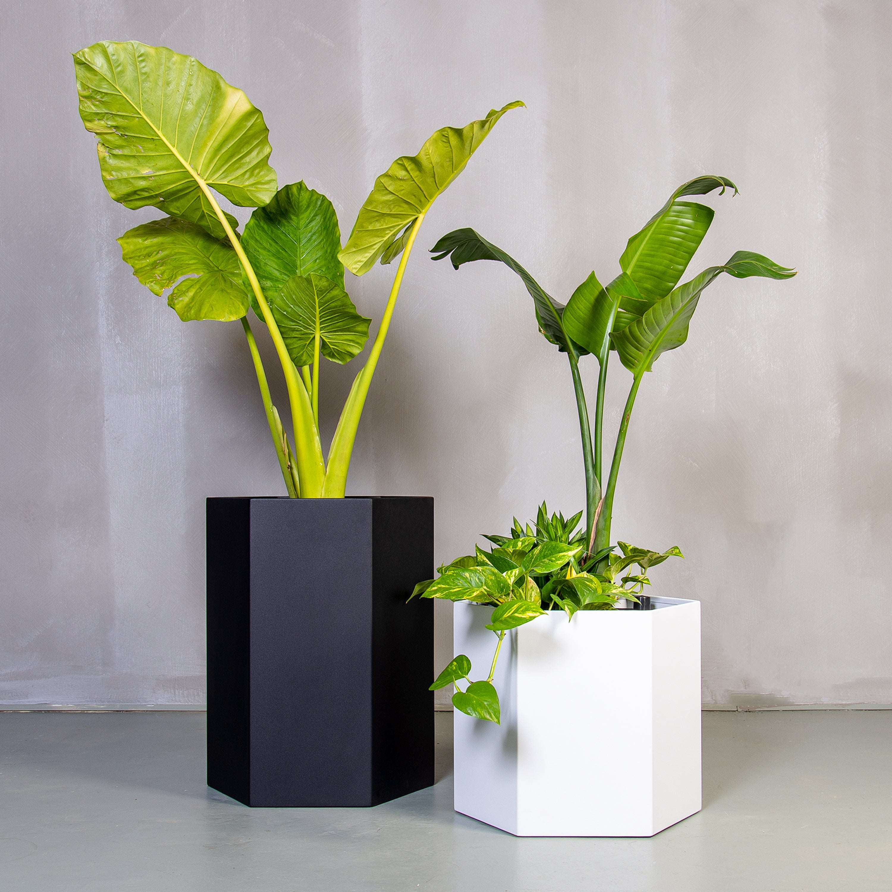 Plantr | The Modul Planter | Hexagon | Modular | Stainless Steel
