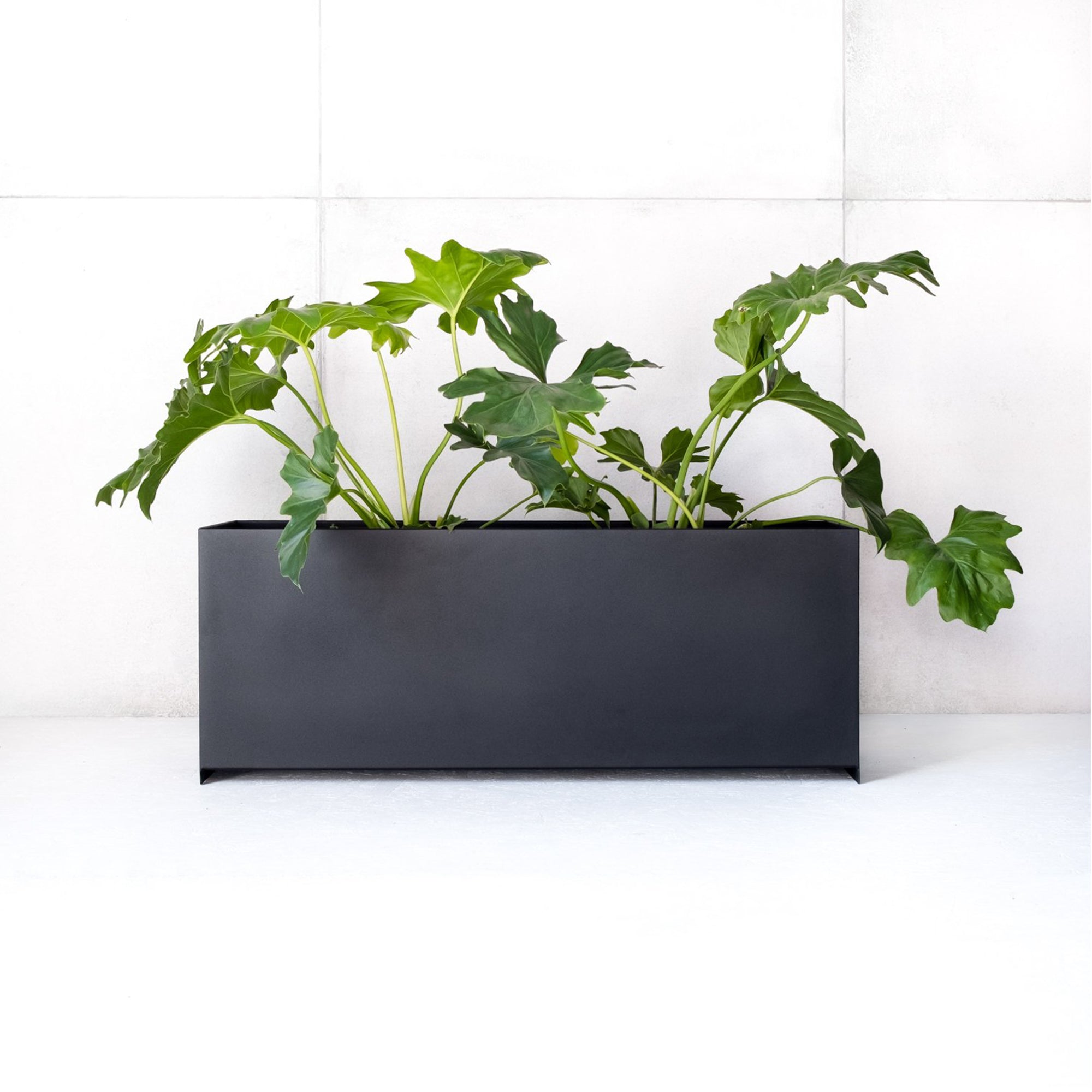 Loft Planter Box | Indoor & Outdoor | Contemporary Plant Pots – Plantr