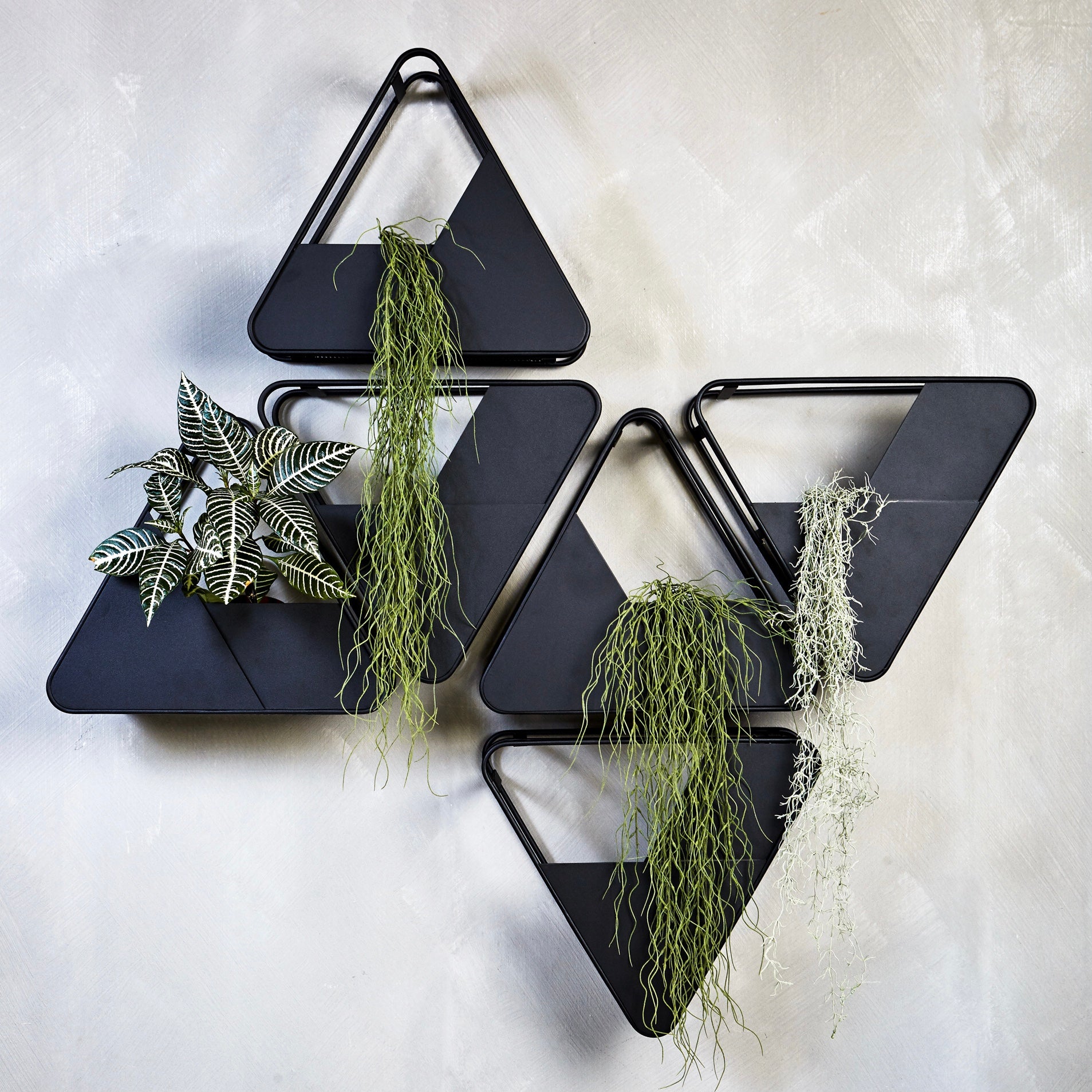 Trioka | Wall Mounted Modular Planter - Contemporary Vertical Garden ...