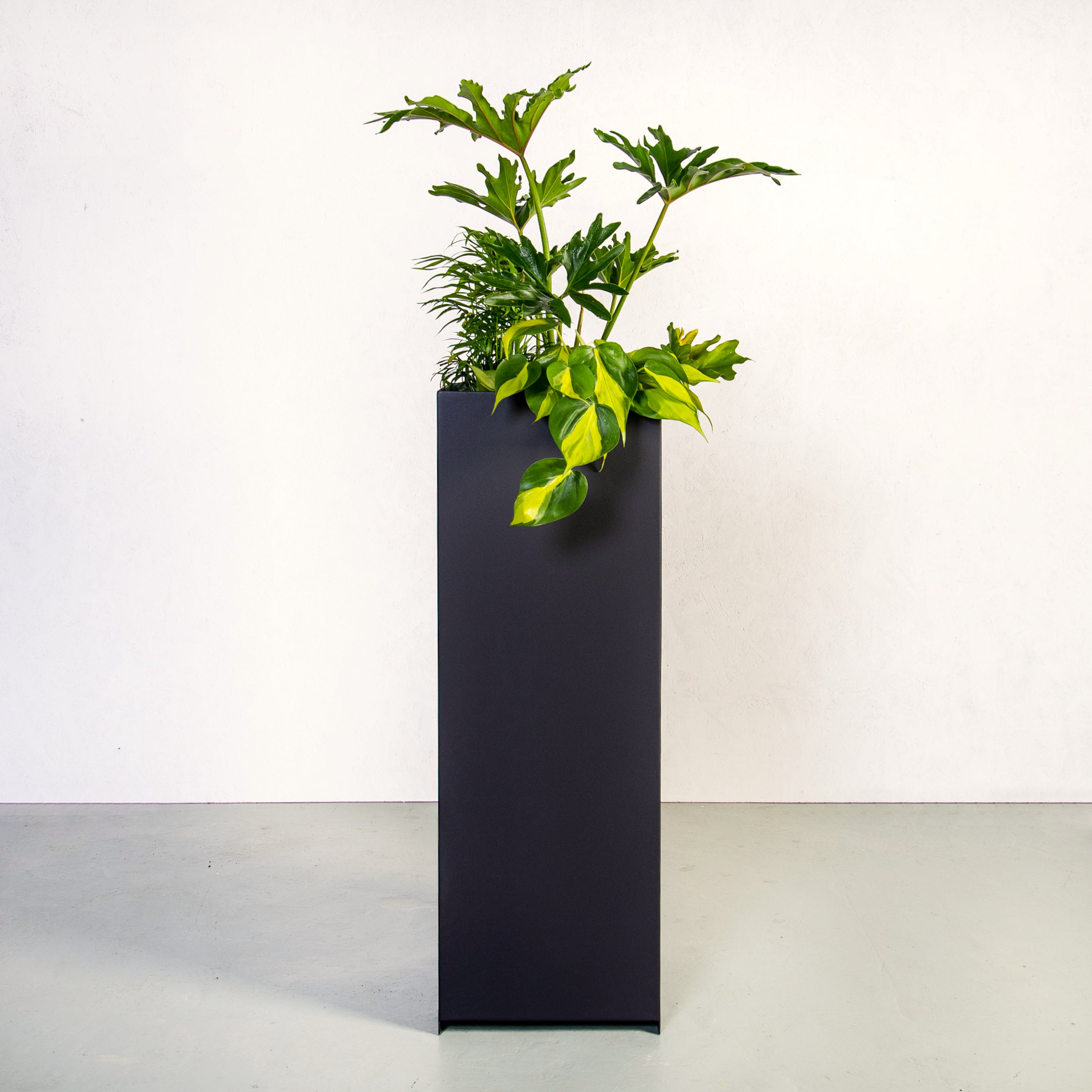 Loft Planter Box | Indoor & Outdoor | Contemporary Plant Pots – Plantr